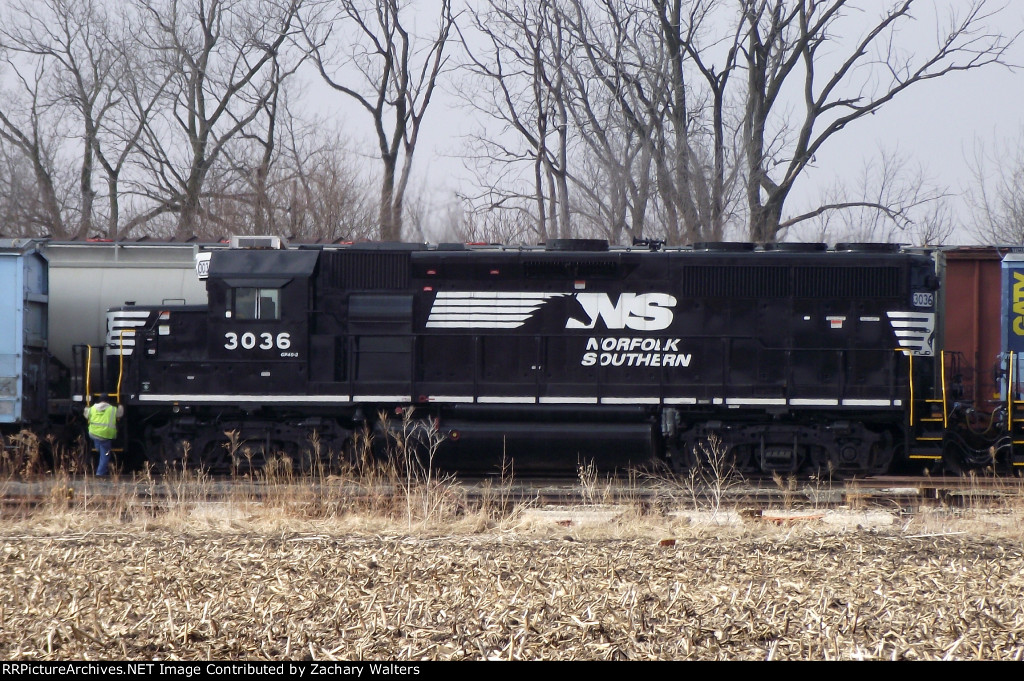 NS 3036